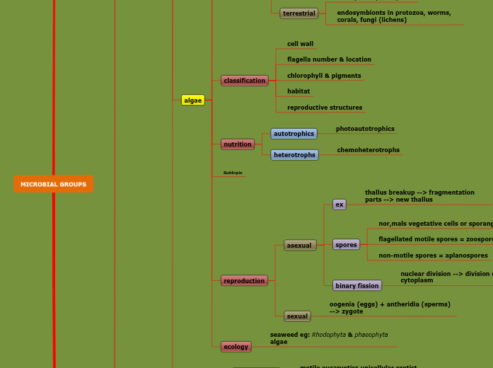 Microbial Groups - Mind Map